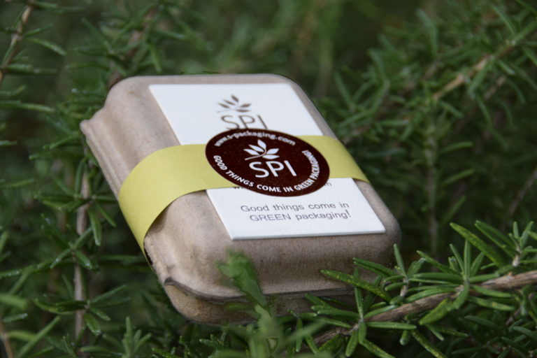 Small clamshell with window | Environmental Friendly Packaging