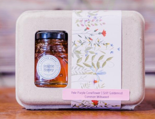 Culinary Salt & Spice Packaging | Eco Friendly Packaging